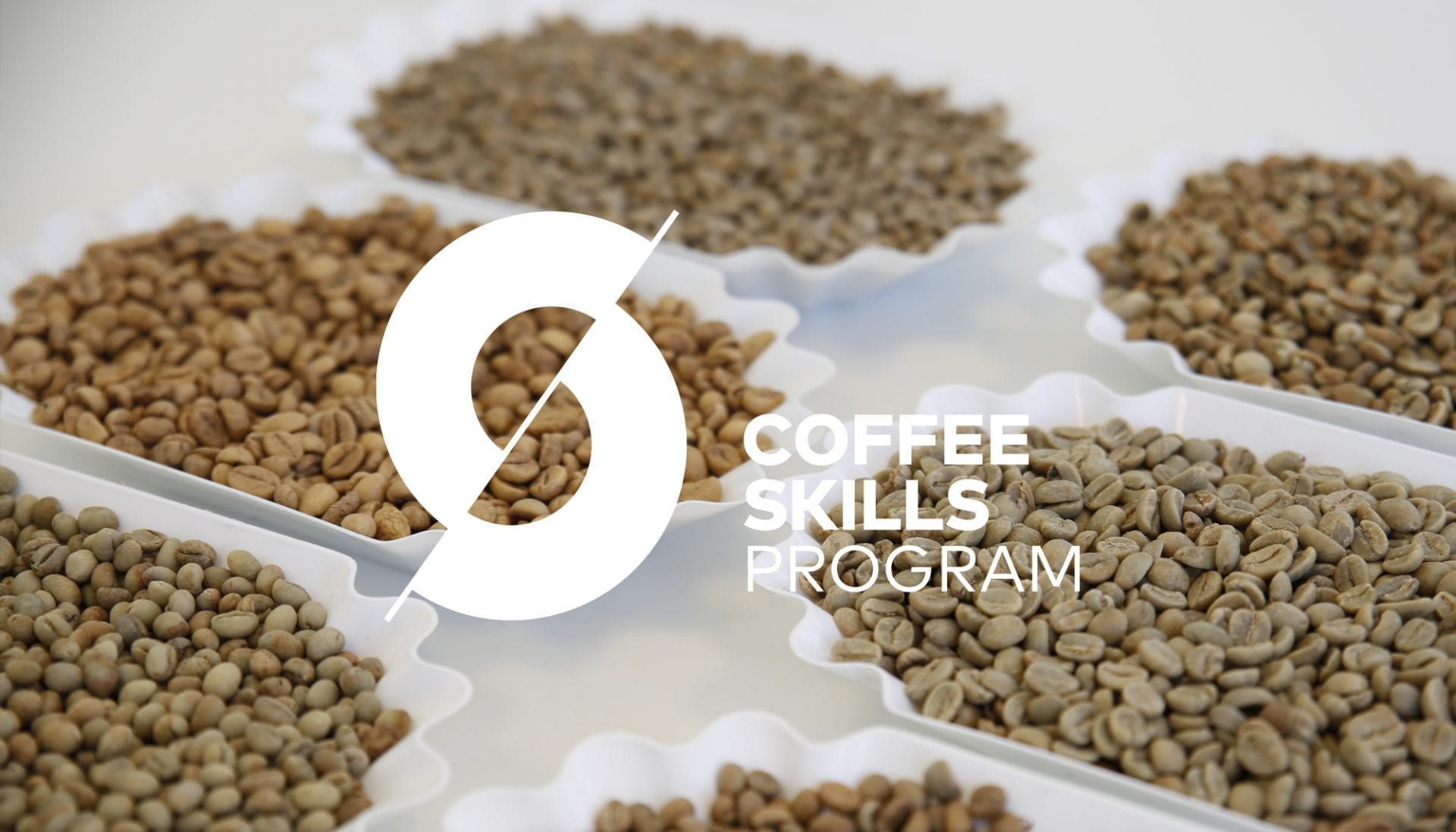 SCA Coffee Skills Program - Cambiano gli esami - Bazzara Eshop — Caffè ...
